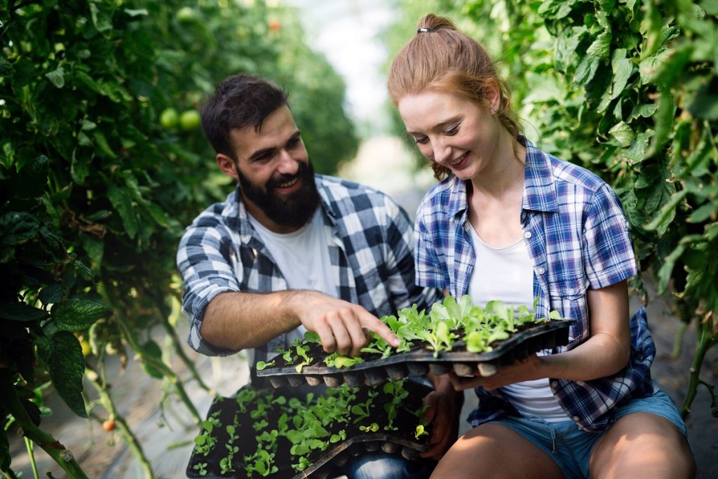 An Introduction To Smart Gardening - CyberGrace